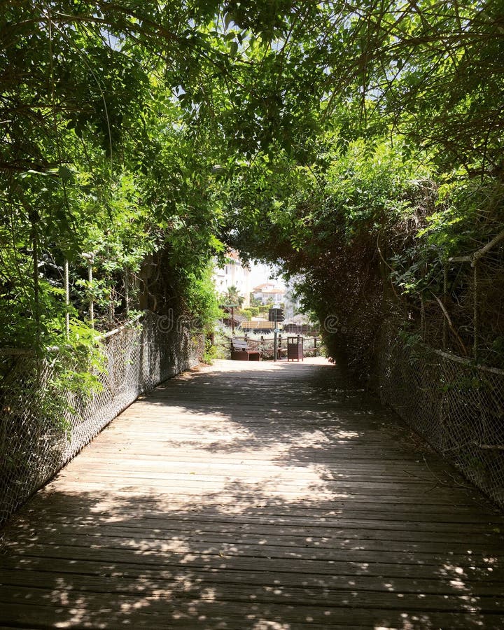 Pathway in Spain Zoo stock photo. Image of pathway, spain - 191190926