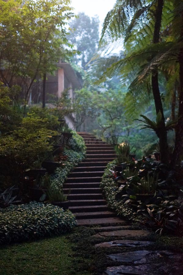 Stairs pathway at Dawn stock photo. Image of leading - 211512444