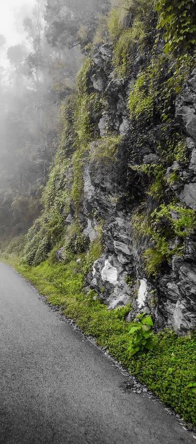 A pathway stock image. Image of natural, pathway, step - 137527721