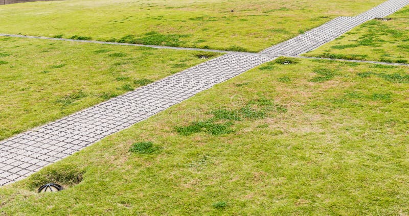 Pathway Stepped on the Lawn Stock Image - Image of landscape, pathway ...