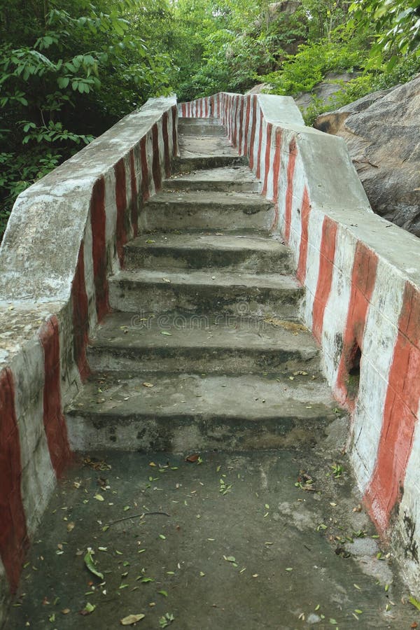 A Pathway with Steps Inside Forest. Stock Image - Image of walkway ...