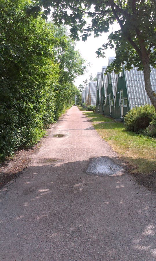 Pathway stock photo. Image of trees, pathway, nature - 48966140