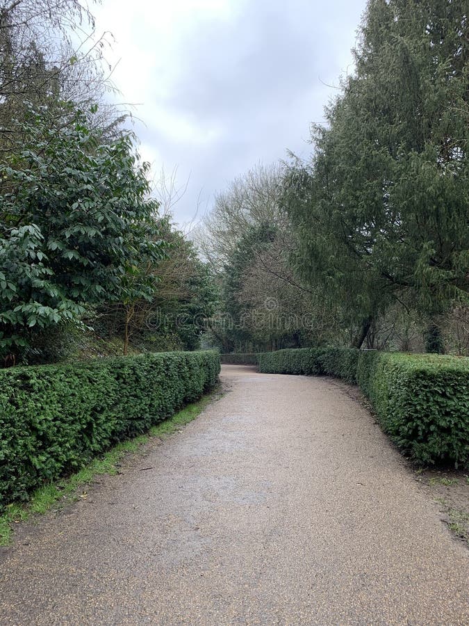 Pathway Street Tree Walking in the Garden Stock Photo - Image of ...