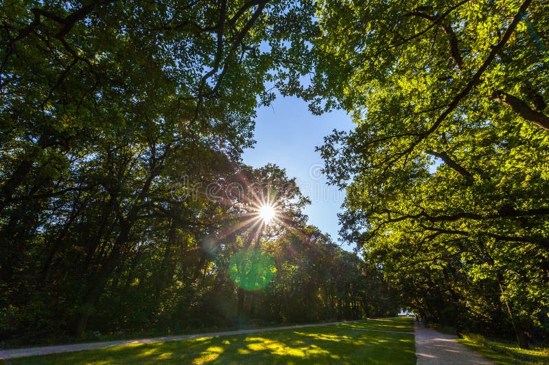A Pathway Stretching into the Distance, Bisecting a Lush Green Park ...