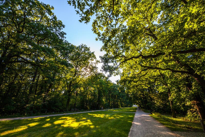 A Pathway Stretching into the Distance, Bisecting a Lush Green Park ...