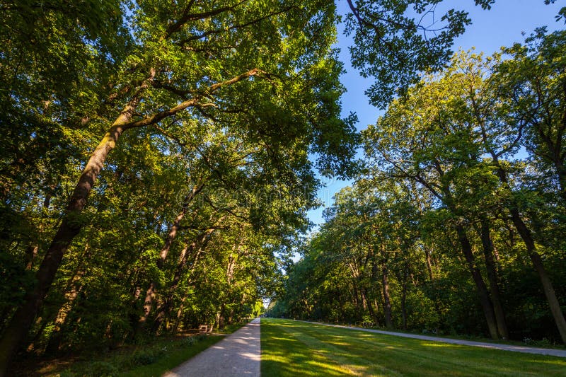 A Pathway Stretching into the Distance, Bisecting a Lush Green Park ...