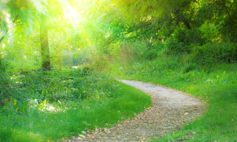 Pathway in summer park stock image. Image of landscape - 21189835