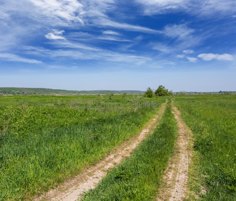 Pathway in summer steppe stock image. Image of ground - 206699883