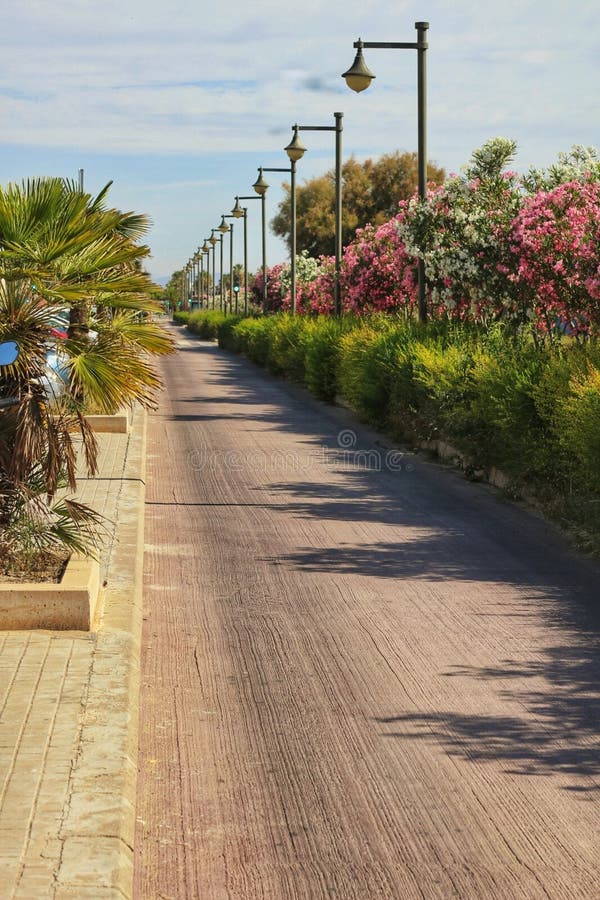 Pathway in Sunlight, Bright Sun, Summer Atmosphere Stock Photo - Image ...