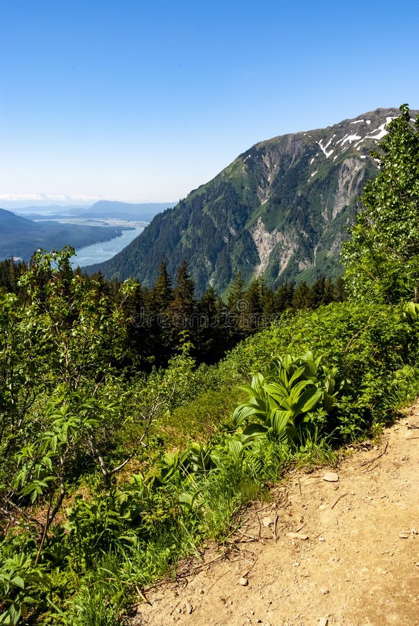 Pathway on the Surrounding Mountains in Juneau Stock Photo - Image of ...