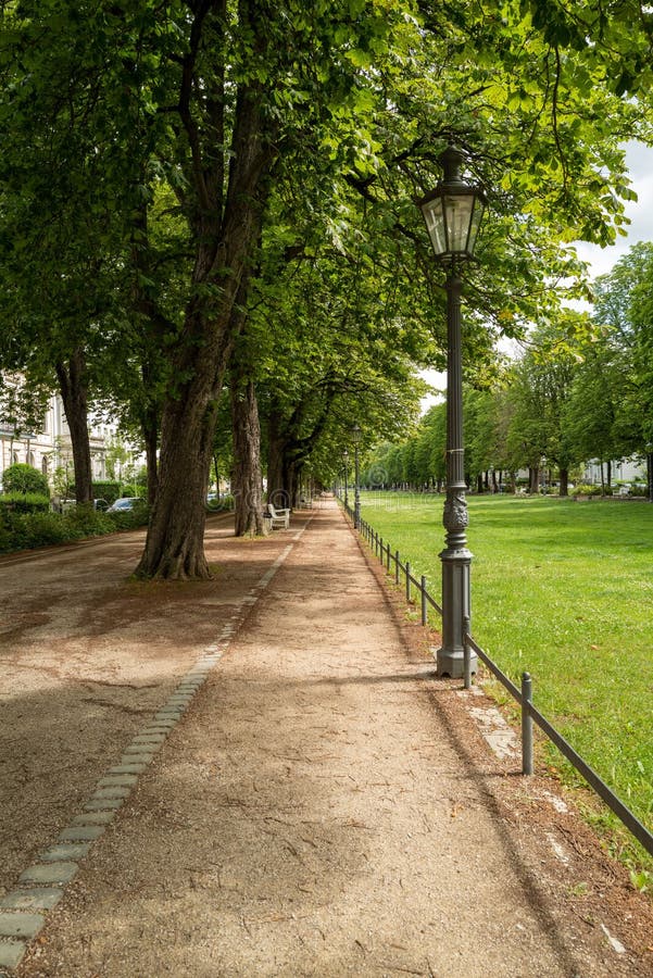 Pathway with Tall Tree and Street Lamp Stock Photo - Image of tree ...