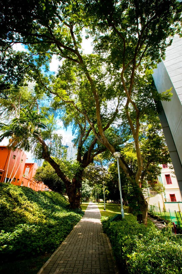 A pathway though a park stock image. Image of earth, reduce - 20445731