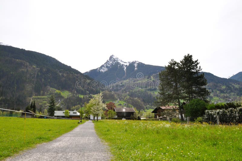 Pathway Throught the Alpine Field - Austrian Alps Stock Photo - Image ...