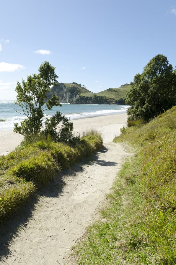 Pathway to beach stock image. Image of seascape, beautiful - 23908581