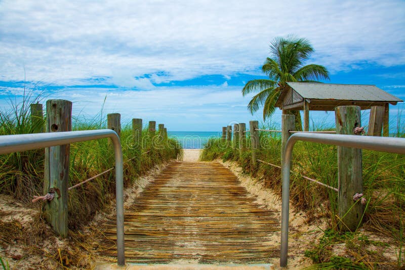 Pathway to the beach. stock photo. Image of park, beautiful - 282677460