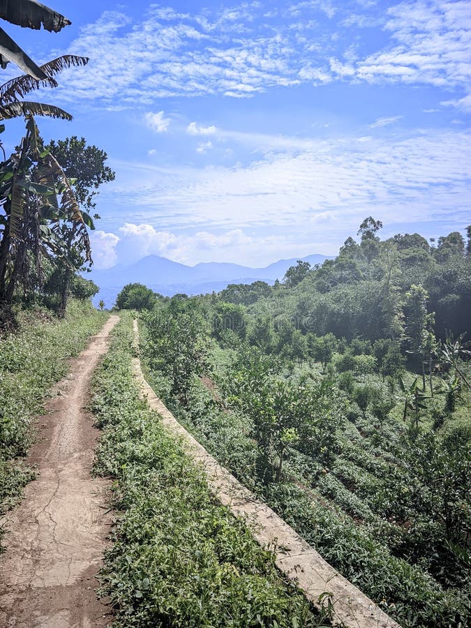 Pathway To Majestic Mountain Landscapes Stock Image - Image of bluesky ...