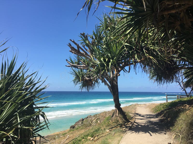 Pathway to paradise stock image. Image of surf, waves - 66976731