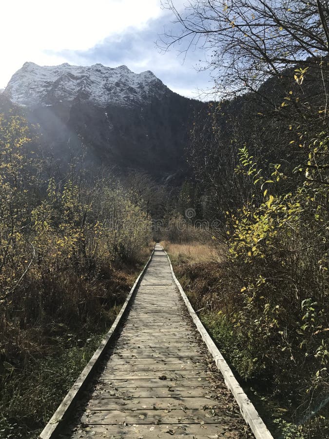 Pathway to paradise stock image. Image of nature, path - 79224353
