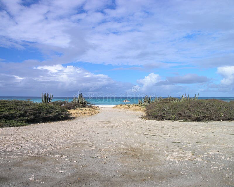 Pathway to Paradise stock photo. Image of path, lonely - 40212768