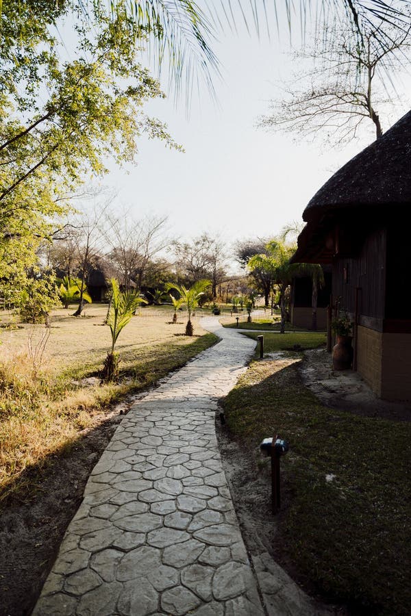 Pathway To a Rustic Hut with Trees in the Backdrop. Stock Image - Image ...