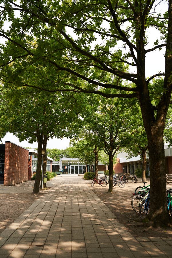 Pathway To School on a Sunny Day Editorial Photo - Image of male ...