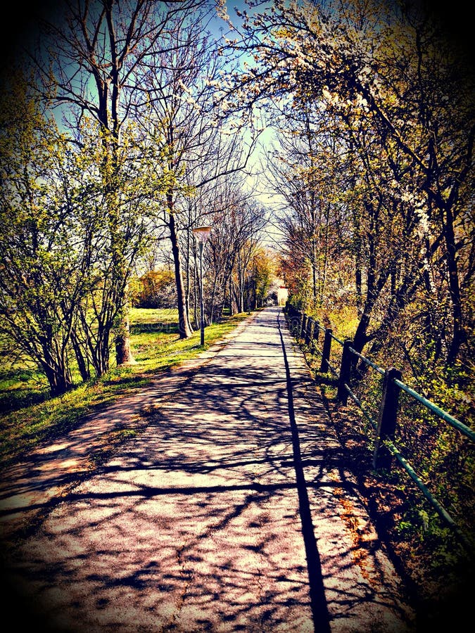 Springtime Pathway, Great, Shot Stock Photo - Image of lovely ...