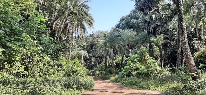 A Pathway To the Village and Forest Stock Image - Image of landscape ...