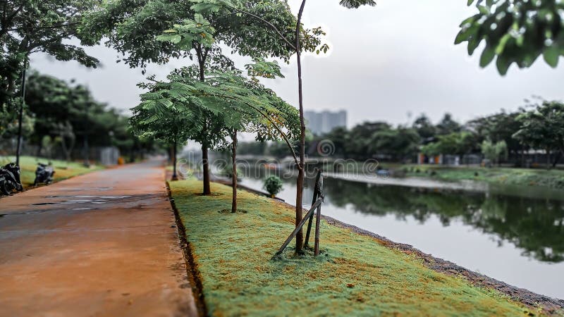 2,109 Plant Trees Lake Side Stock Photos - Free & Royalty-Free Stock ...