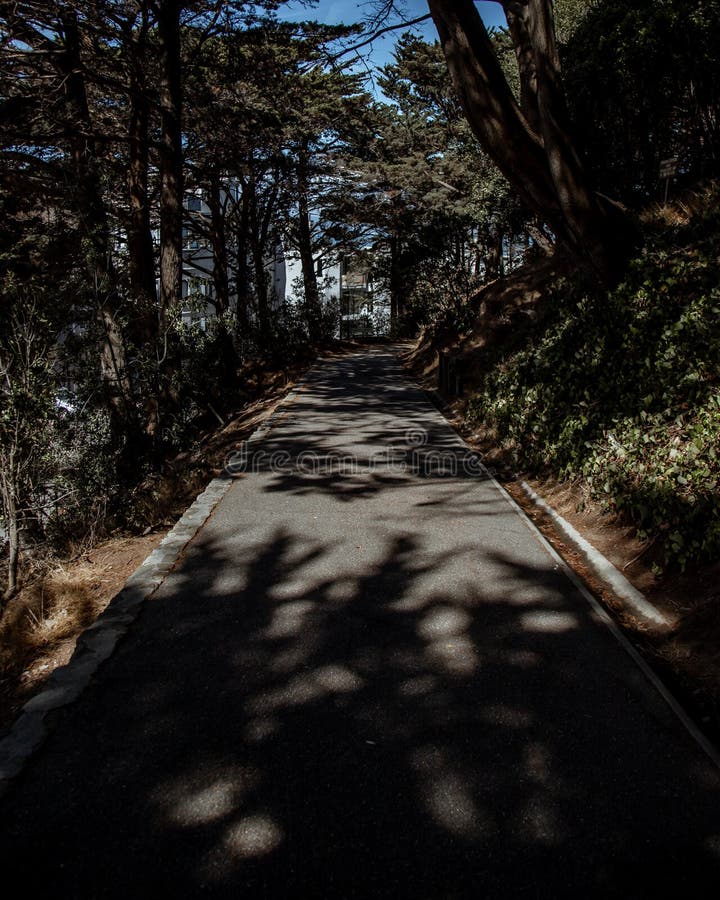 Pathway with Tree Shadows in a Park Stock Photo - Image of trees ...