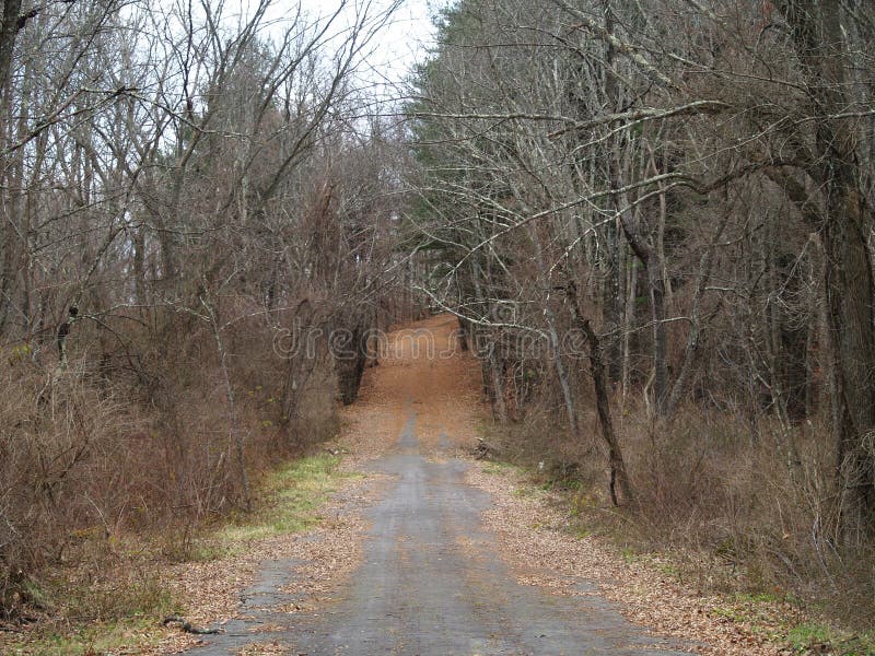 Pathway stock photo. Image of arching, land, trees, pathway - 48248872