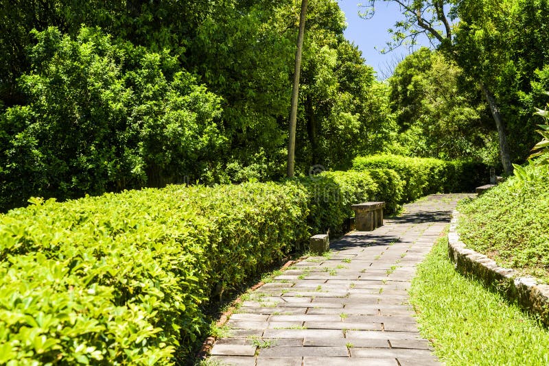Stone Pathway with Green Trees in the Park Stock Image - Image of hike ...