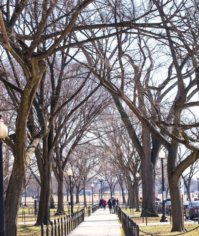 Pathway through the trees editorial image. Image of footpath - 89150485