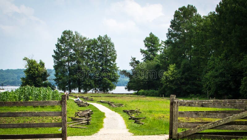 Pathway through the trees stock photo. Image of blue - 91021216