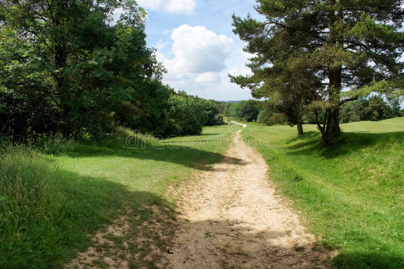 Pathway between Trees in English Countryside Stock Image - Image of ...