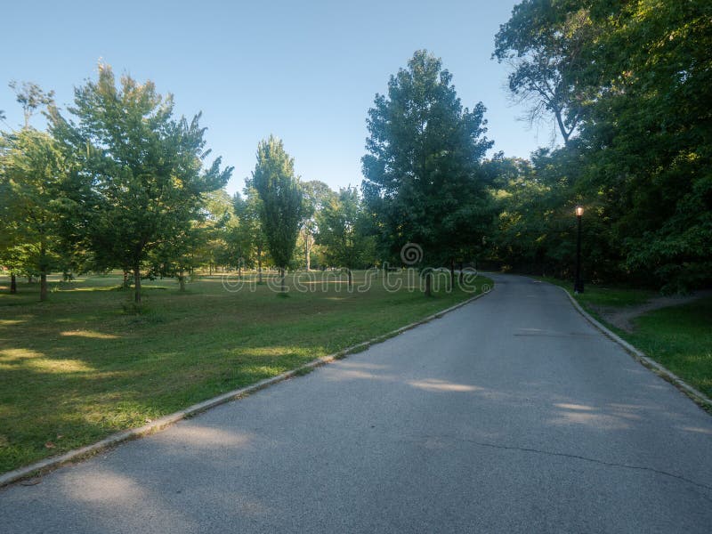 Pathway between Trees and Grass Landscapes in a Park Stock Photo ...