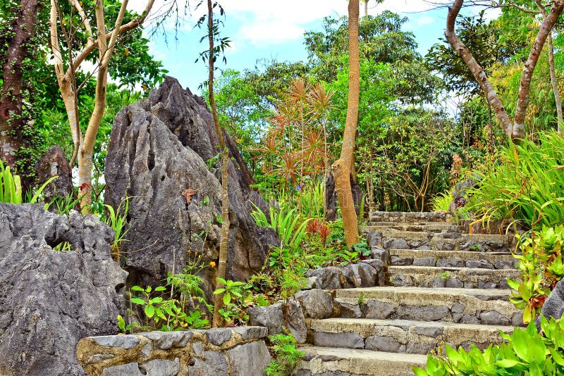 Pathway with Trees and Leaves at the Sides Stock Photo - Image of place ...
