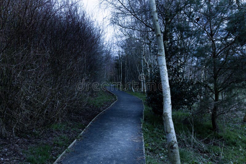 Pathway into the Trees. Scotland Stock Image - Image of travel, blue ...