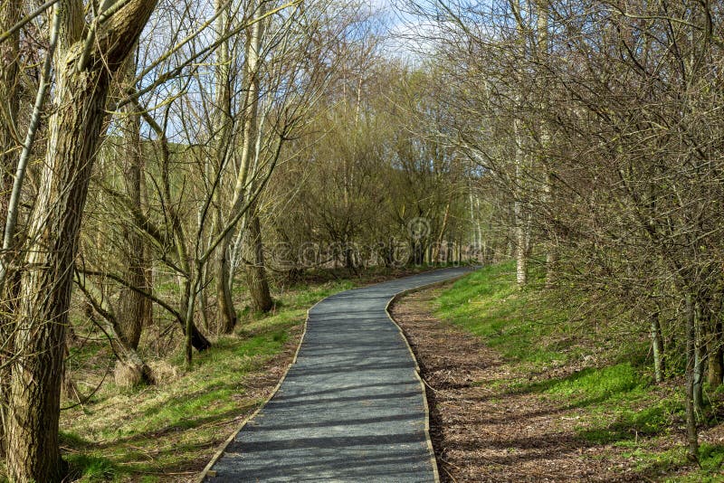 Pathway into the Trees. Scotland Stock Image - Image of pathway, people ...