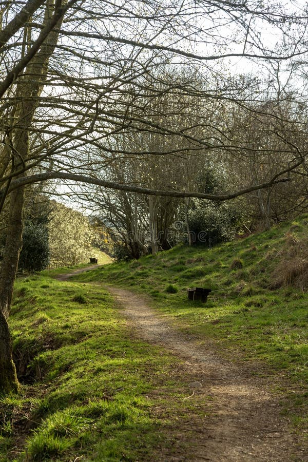 Pathway into the Trees. Scotland Stock Photo - Image of garden, daytime ...