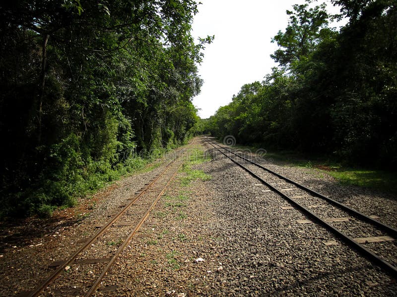 Pathway between the Trees, with Train Rails at Its Sides Stock Photo ...