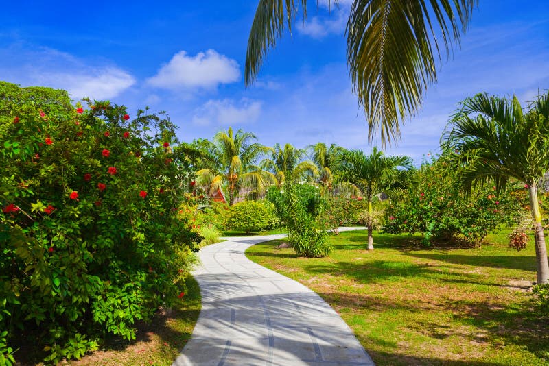 Pathway in tropical park stock image. Image of island - 9221825