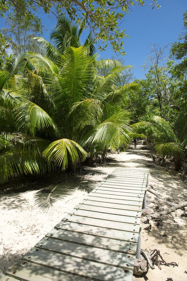 Pathway in tropical park stock image. Image of destinations - 28917859