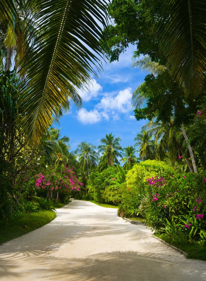 Pathway in tropical park stock image. Image of coastline - 9221825