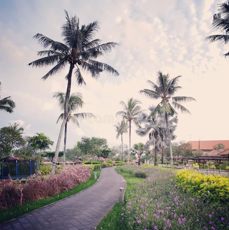 Tropical resort editorial stock photo. Image of path - 136429528