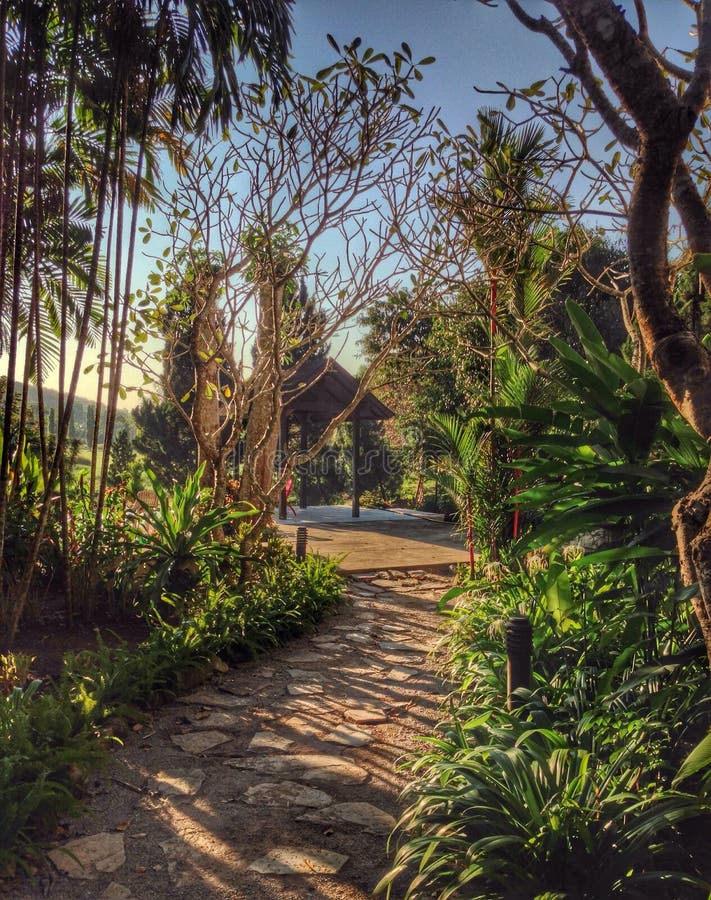 Pathway stock photo. Image of walkway, destination, direction - 42634762