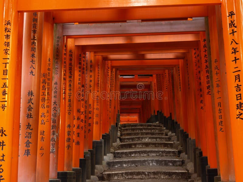 Pathway Under the Torii Gate of Fushi Inari Shrine Stock Photo - Image ...