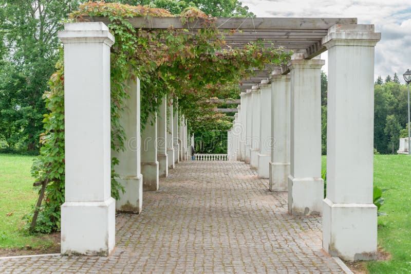 Pathway Under White Pillared Pergola with Greenery in Tranquil Garden ...