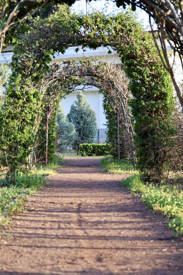 Pathway vine arches stock photo. Image of panel, announcement - 369705498