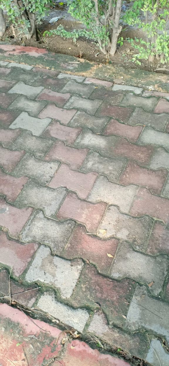 Pathway for walk and run stock photo. Image of pathway - 194843224