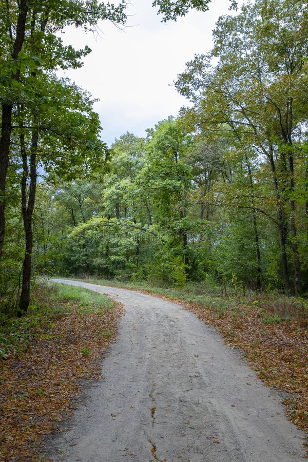 Pathway Walking Path in the Forest in Autumn Stock Photo - Image of ...